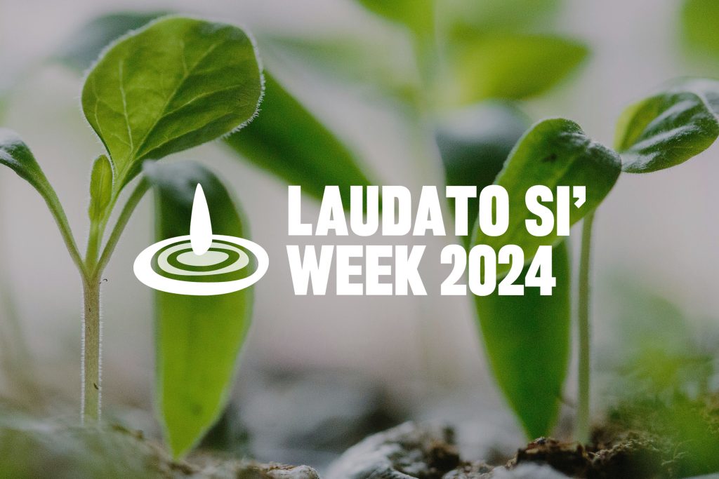Pentecost Sunday opens activities for Laudato ‘Si Week 2024 ...