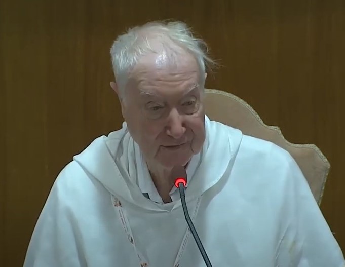 Videos of Timothy Radcliffe’s reflections to the members of the Synod ...